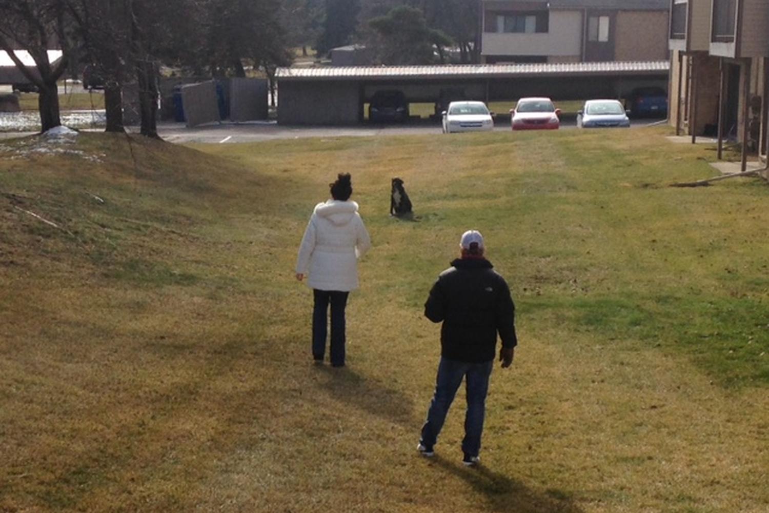 Joey Luke's Dog Training review in Taylor, Michigan | MyPetMaps